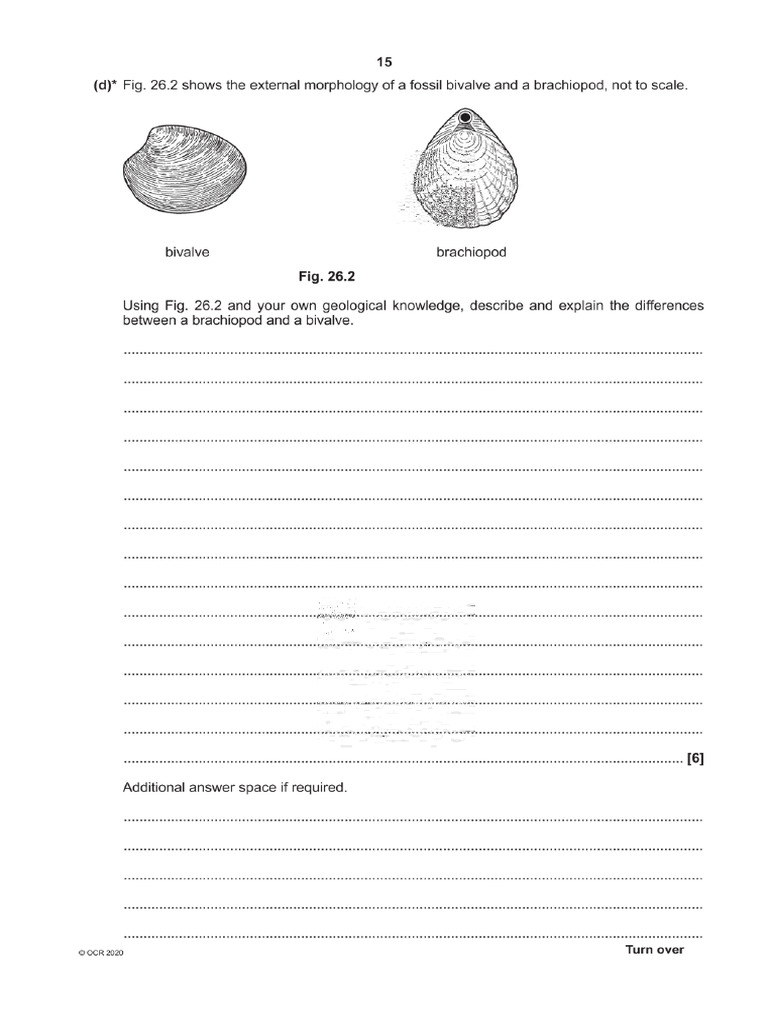 AL P3 2020 Q26d - Brachiopod and Bivalves | PDF