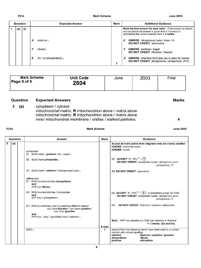 Respiration Workbook Mark Scheme | PDF