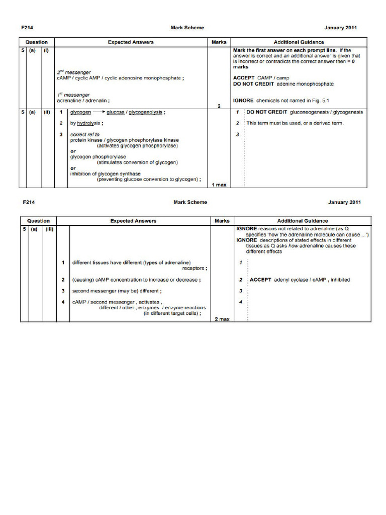 Hormonal Communication Booklet Mark Scheme | PDF