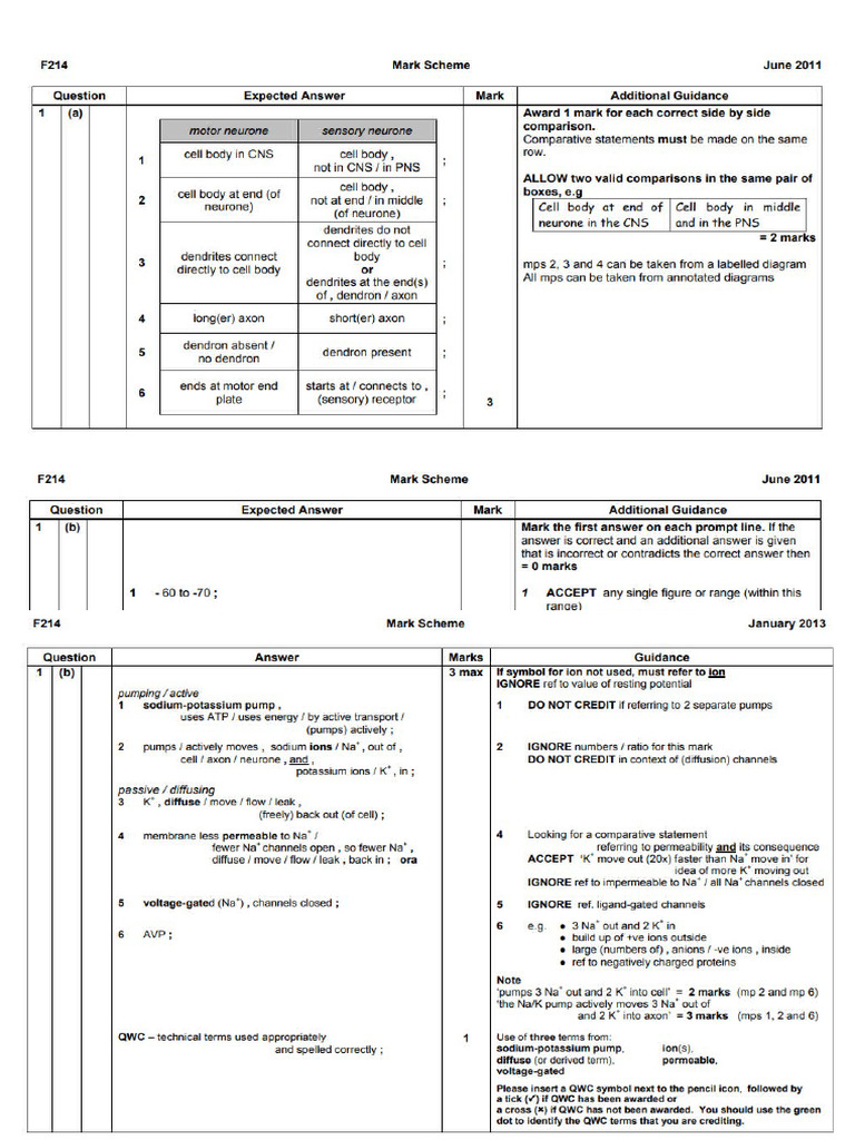 Markscheme for Workbook | PDF