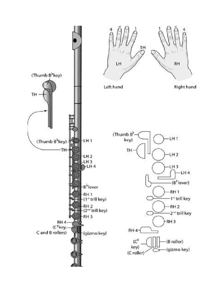 Flute Fingering | PDF