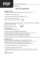 Pig Dissection | PDF