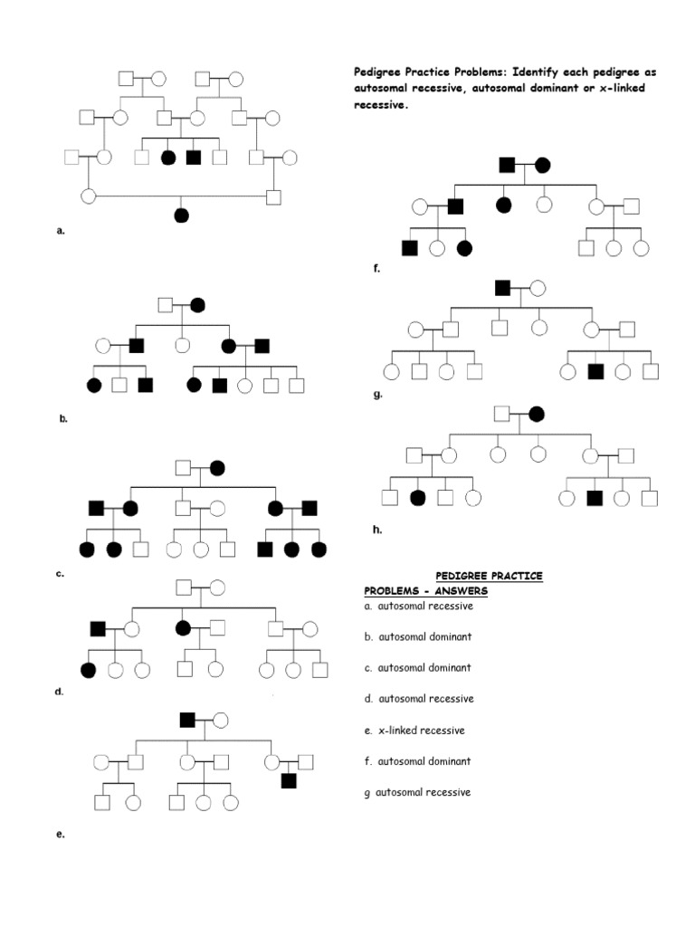 Pedigree Analysis Problems | PDF