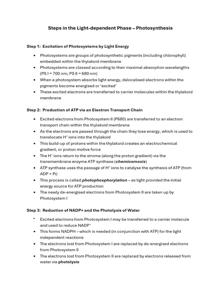 Steps in the Light-dependent Phase - Photosynthesis | PDF