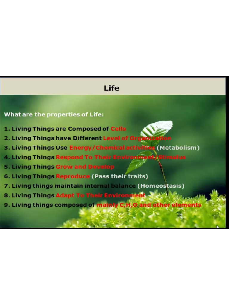 101 Origin of Life | PDF
