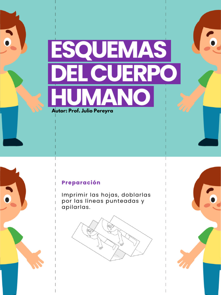 Esquemas Del Cuerpo Humano | PDF
