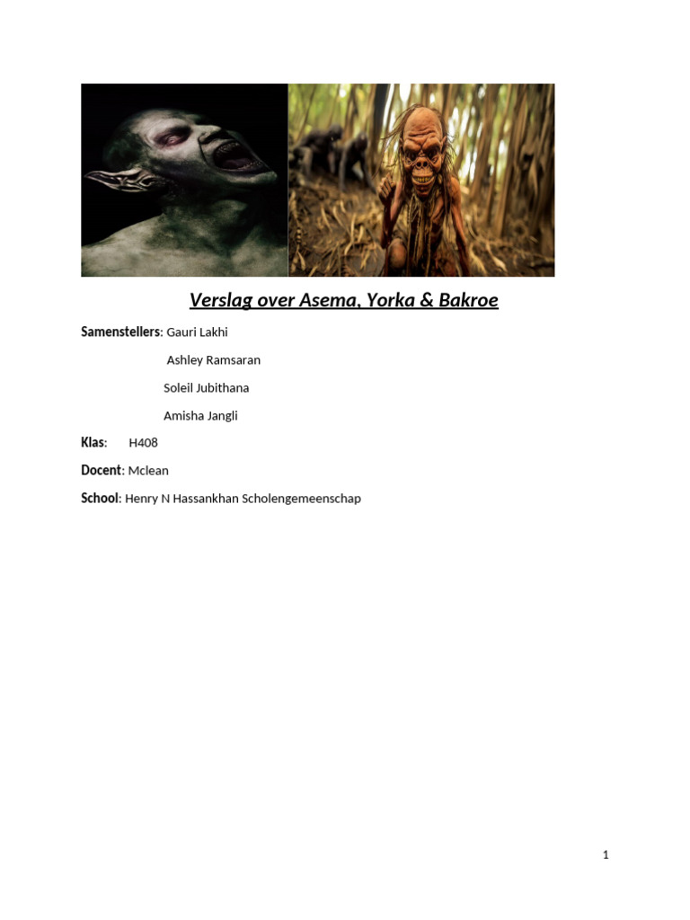 Verslag Over Asema | PDF