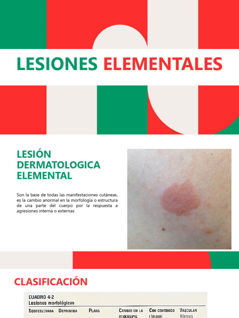 Lesiones Dermatologicas | PDF | Piel | Epidermis