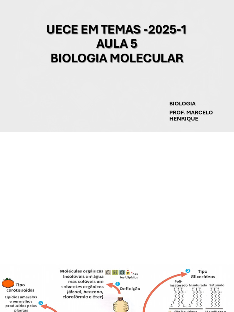 UECE-EM-TEMAS-2025-1-AULA5 | PDF | Aminoácido | Vitamina