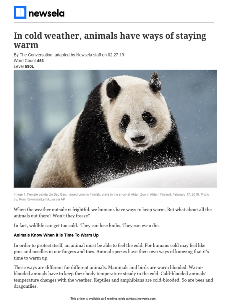 How Animals Stay Warm in Winter | PDF | Zoology