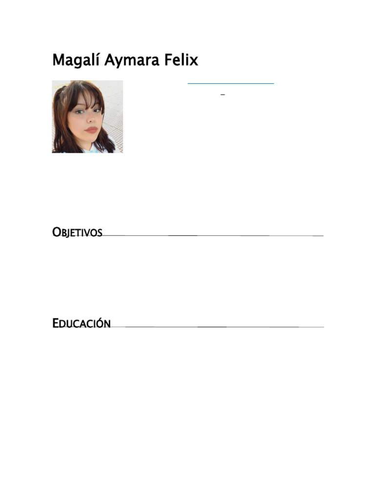 CV - Felix Magali | PDF