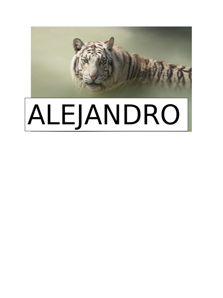 ALEJANDRO | PDF