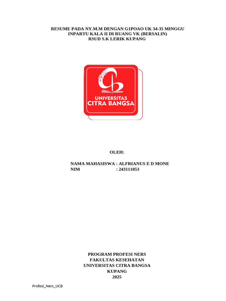 FORMAT RESUME VK Alfian (NY.M.M) | PDF