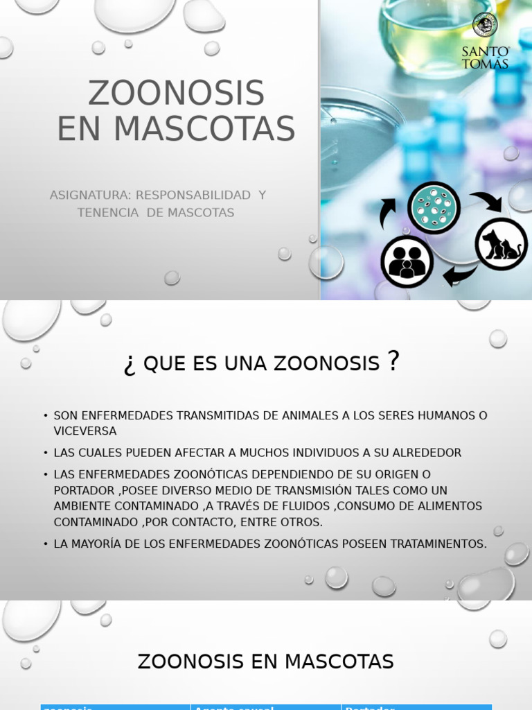 Zoonosis en Mascotas: Riesgos y Prevención | PDF | Carne | Mascota