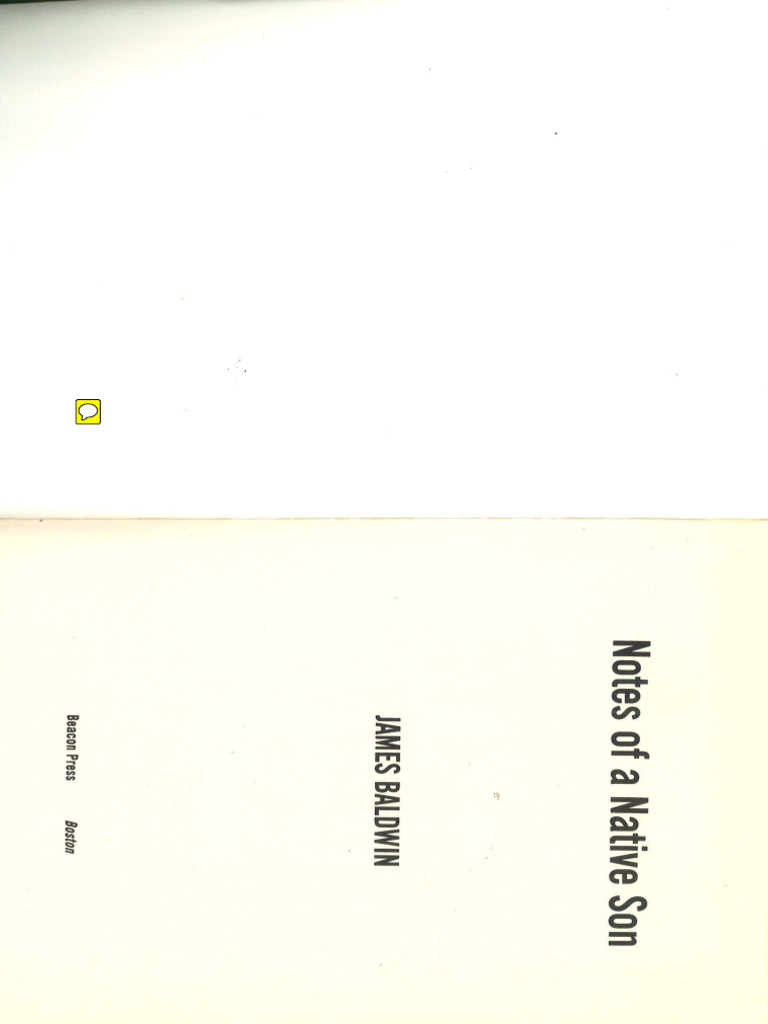 Everybody's Protest Novel by James Baldwin | PDF