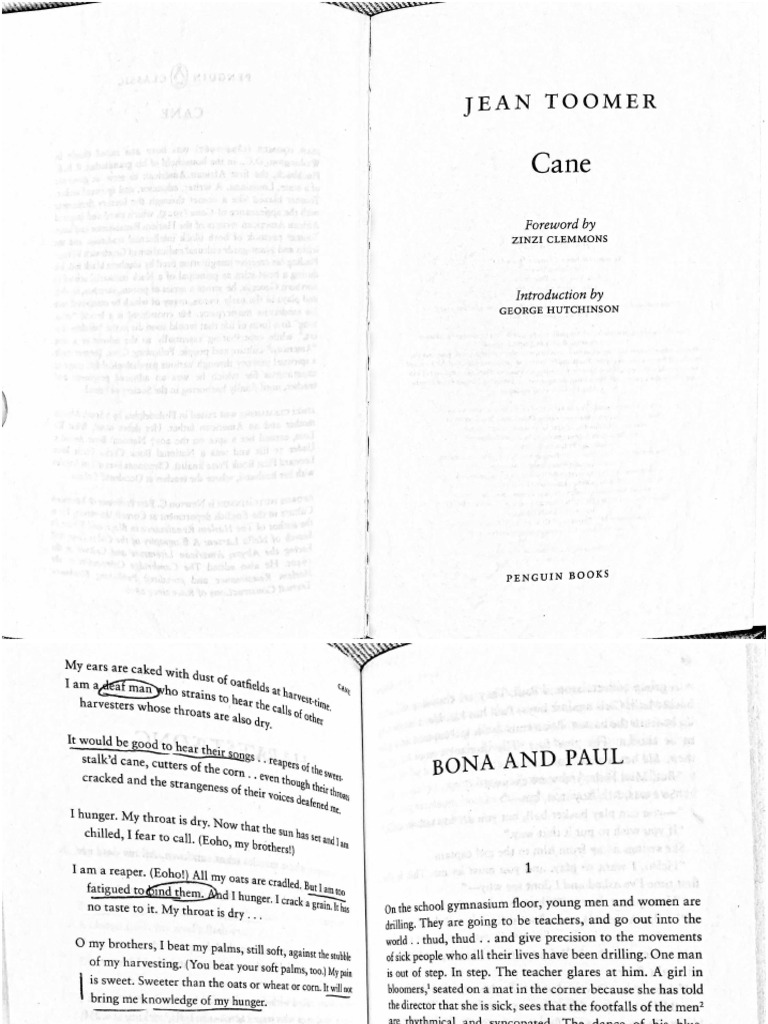 Cane Jean Toomer | PDF