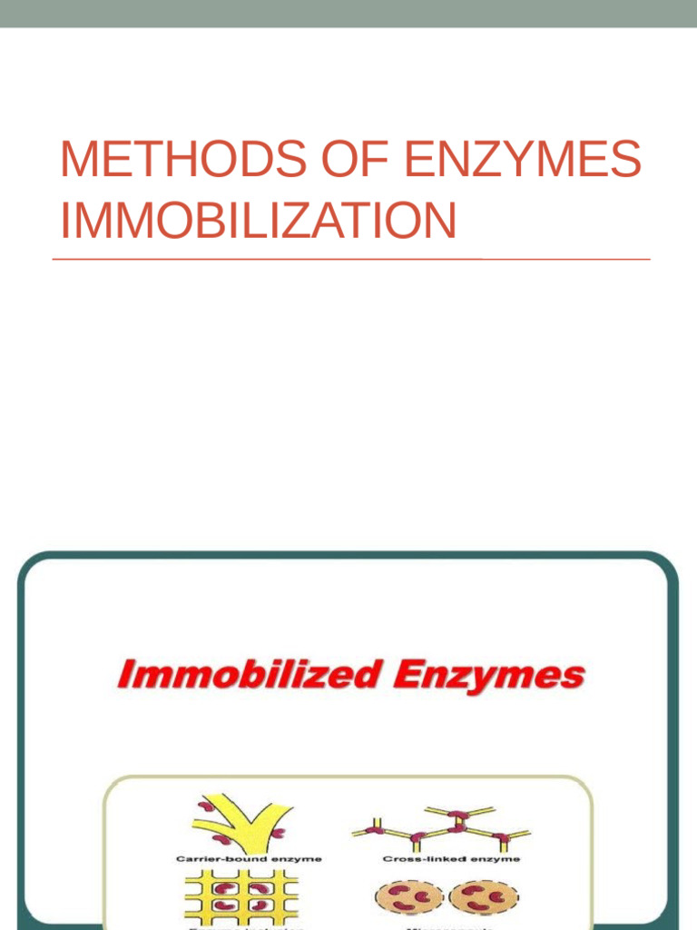 PPT Enzyme Immobilization | PDF
