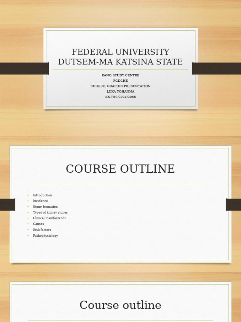 Luka G.presentation-1 | PDF
