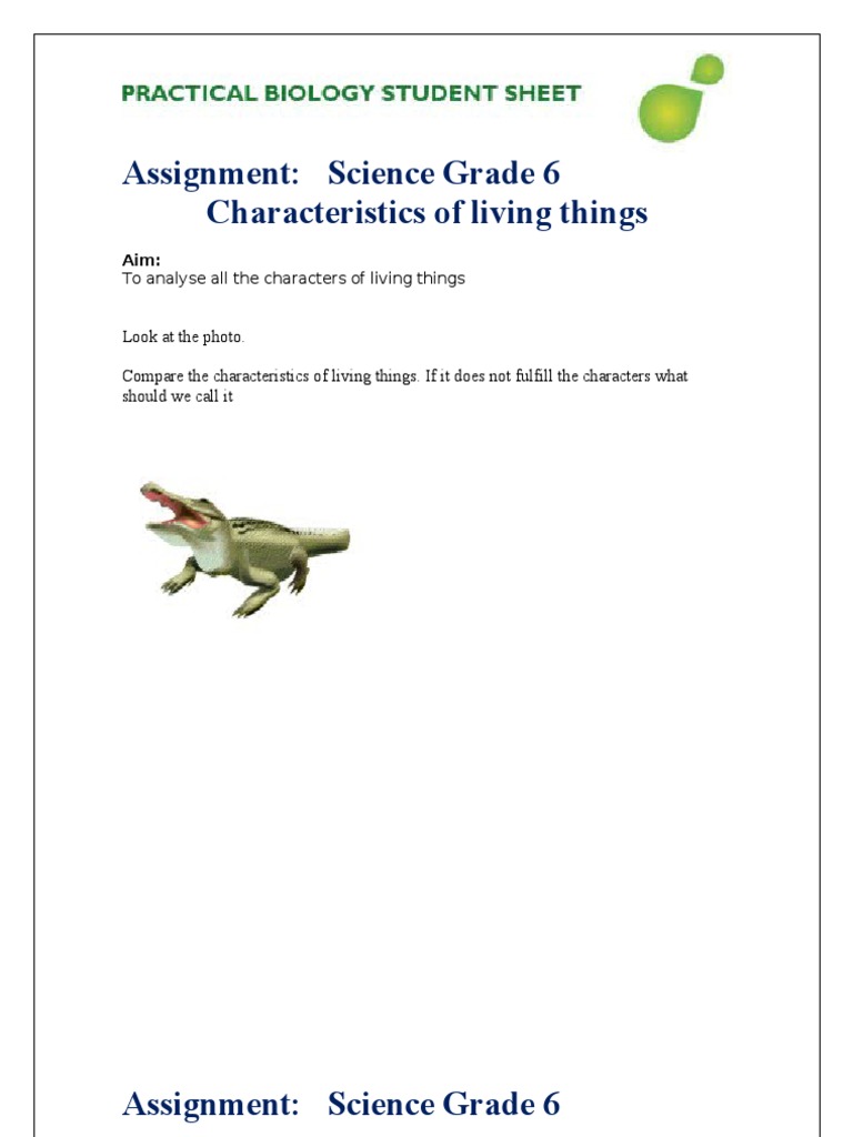 Assignment: Science Grade 6 Characteristics of Living Things | PDF