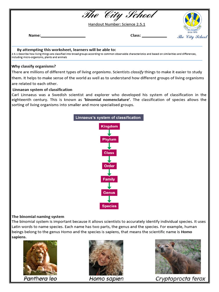 Organism Classification Explained | PDF