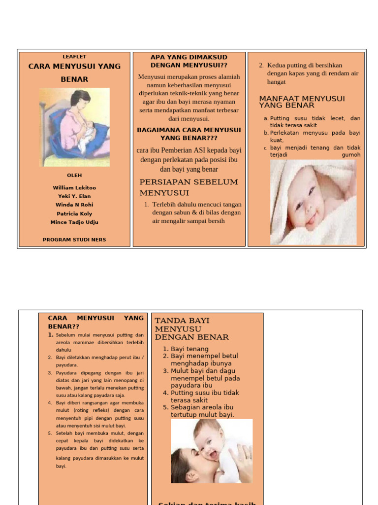 LEAFLET Ibu Menyusui | PDF