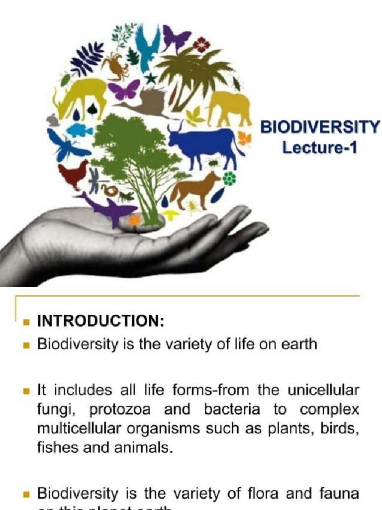 TOPIC-BIODIVERSITY | PDF