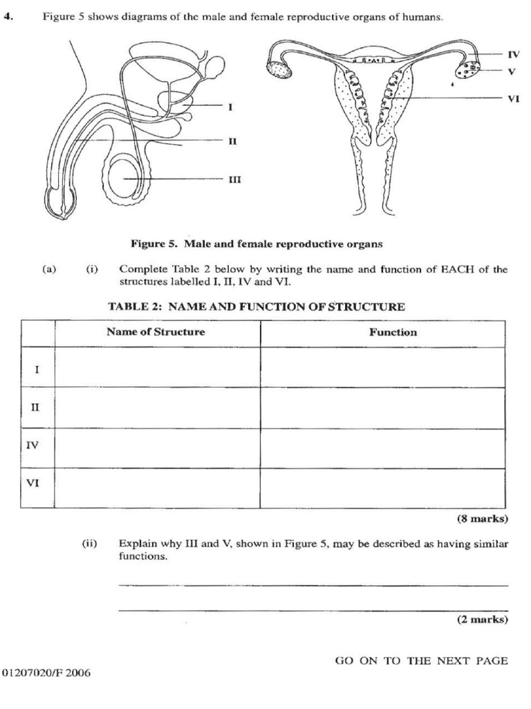 Reproduction in Humans Question June 2006 Q4 | PDF