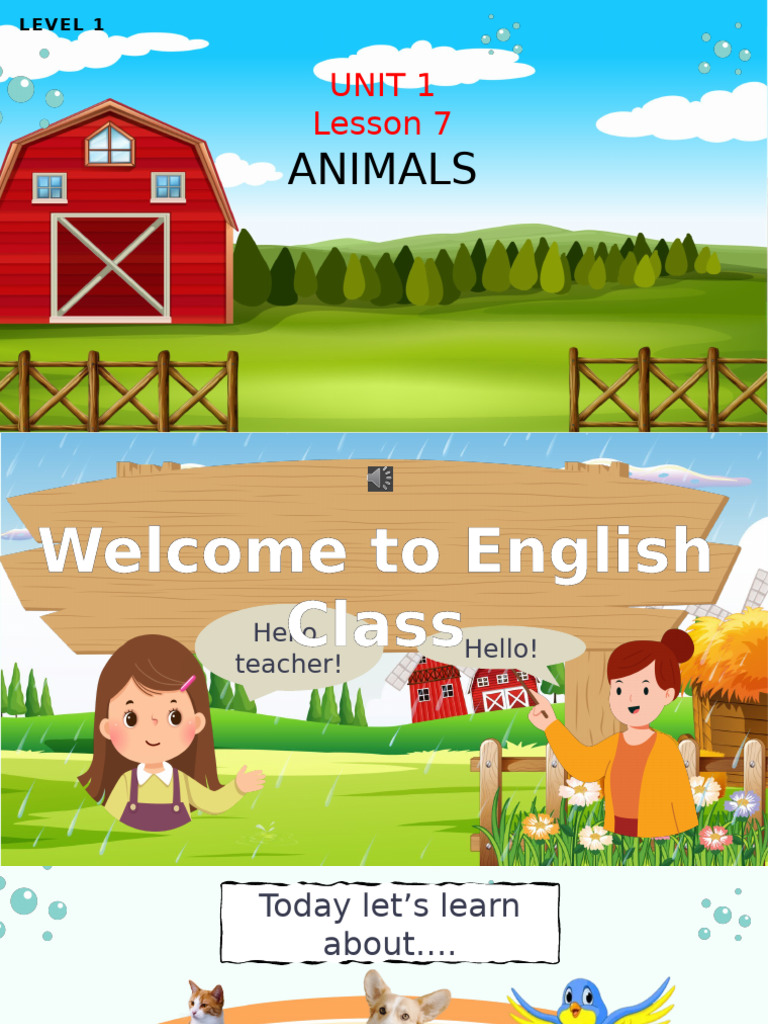 Unit 1 Animals Lesson 7 | PDF