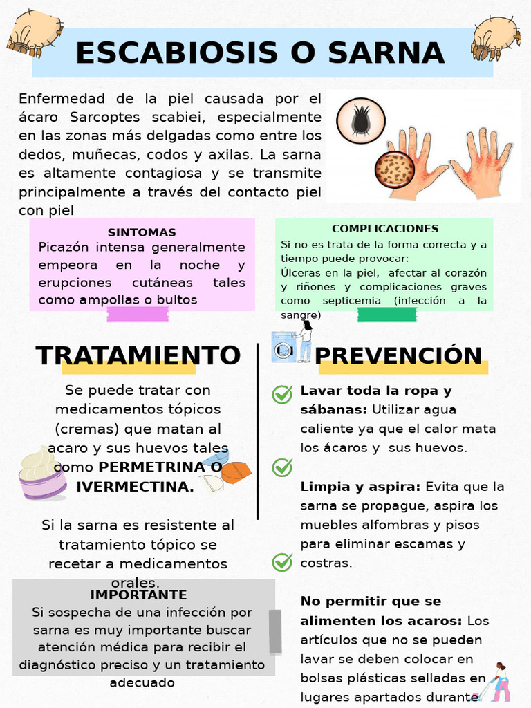 Documento A4 Informativo Empresa Equipo Ilustrado Moderno Multicolor - 20250319 - 001434 - 0000 ...