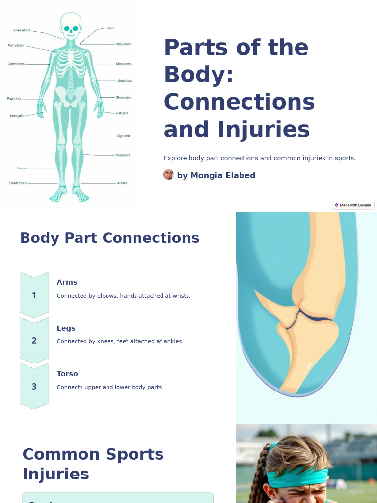 Body Part Connections & Sports Injuries | PDF