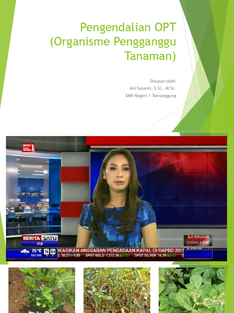 Materi Pengendalian OPT - Modul MA | PDF