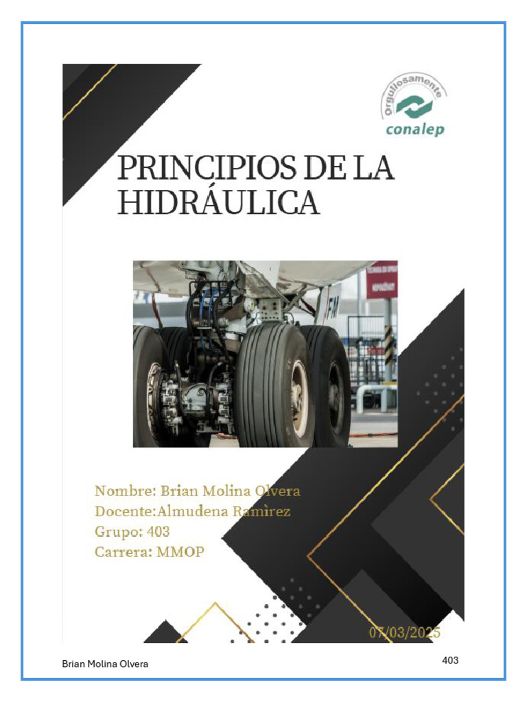 Principios Básicos de La Hidráulica | PDF | Presión | Líquidos
