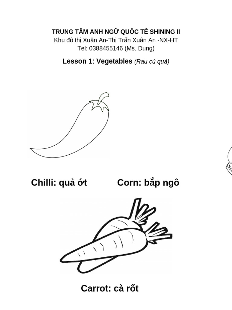 Lesson 1. Vegetables | PDF