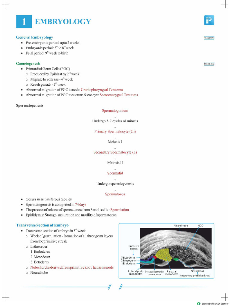 Anatomy (Azam) Embryology Pyt Neet/inicet | PDF