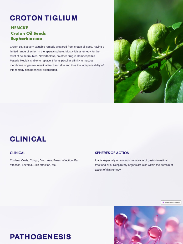 Croton Tiglium | PDF | Mucus | Cough