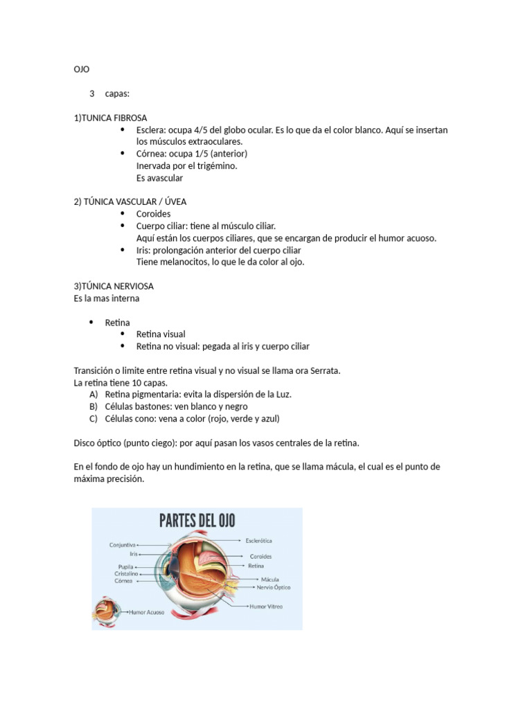 Ojo 1 | PDF