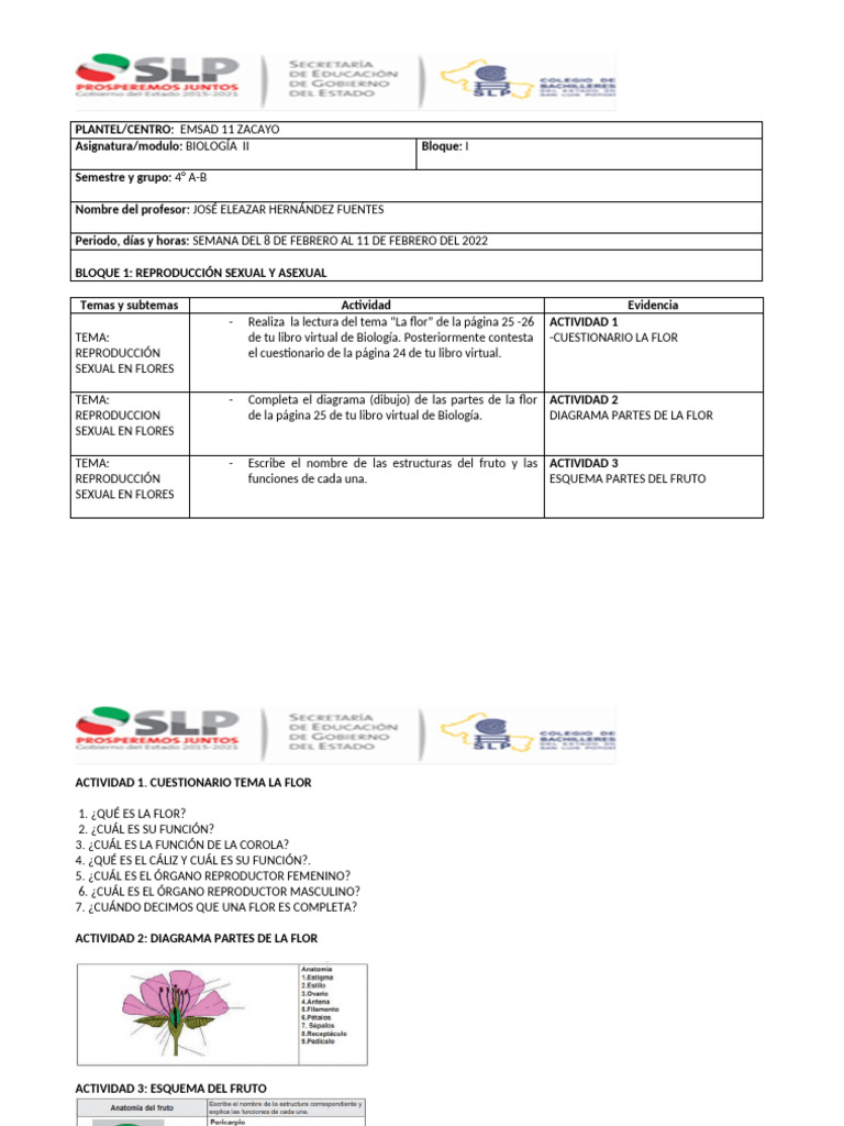 Bitacora Biología Ii Semana 3 | PDF