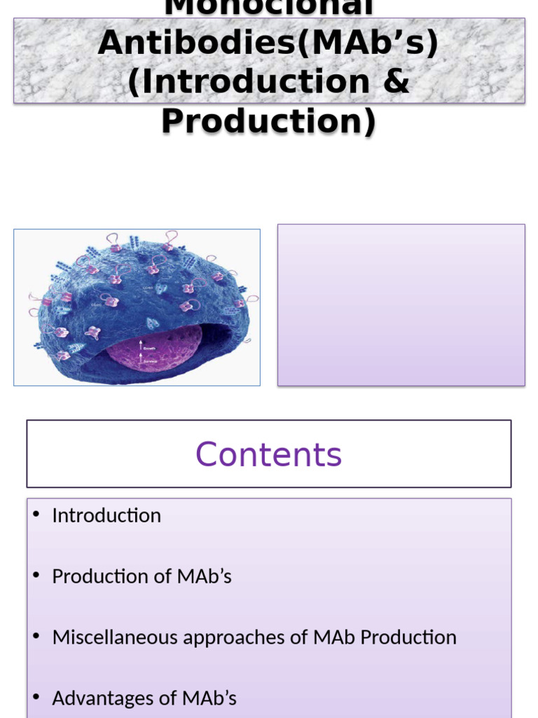 Monoclonal Antibodies (MAbs) | PDF | Monoclonal Antibody | Antibody