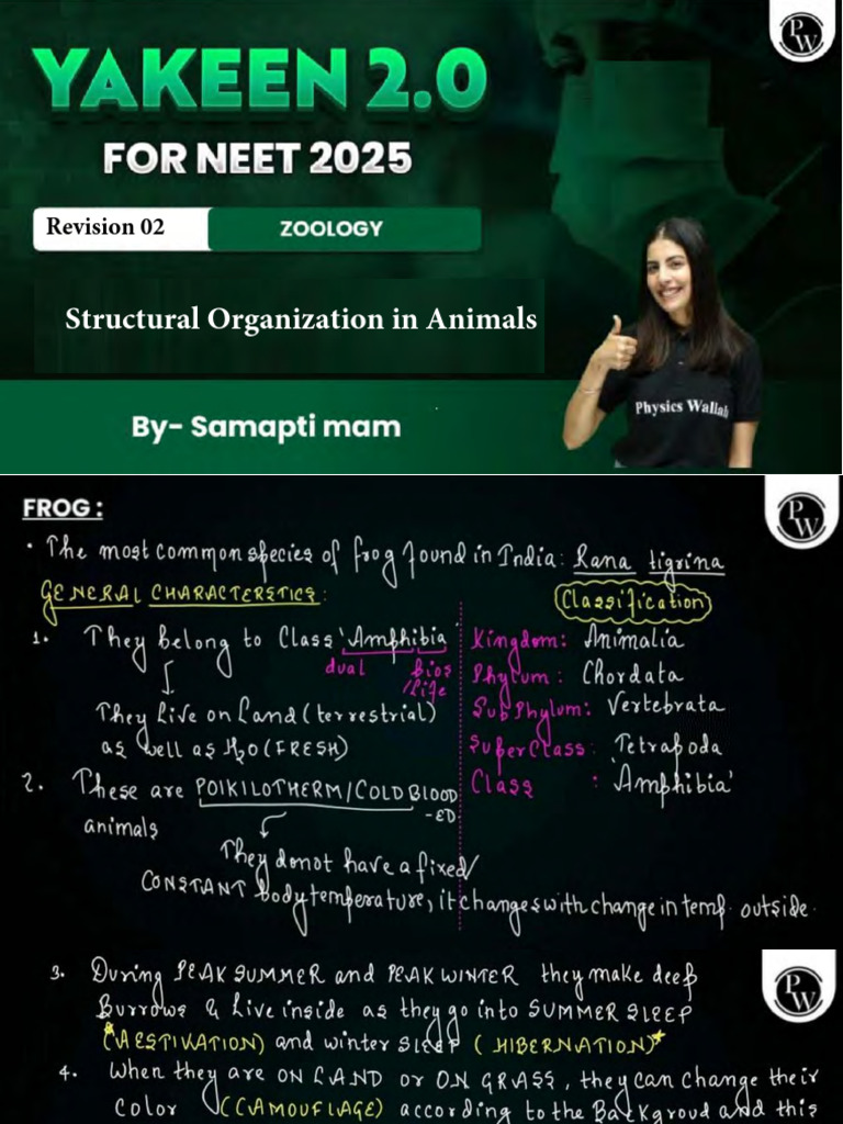 Animal Structural Organization Explained | PDF