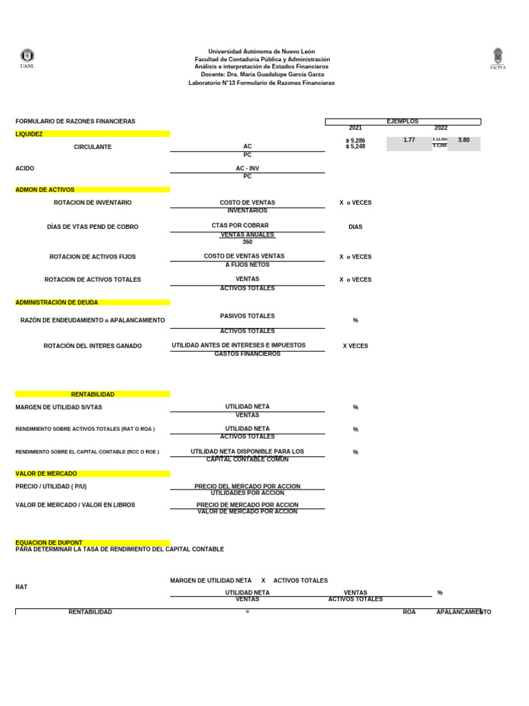 N°13 Formulario de Razones Financieras | PDF | Rentabilidad sobre recursos propios ...