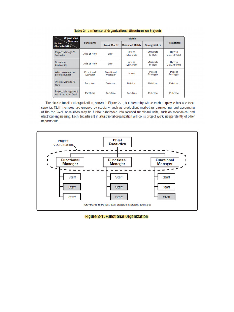 Organization Structures-PMP | PDF