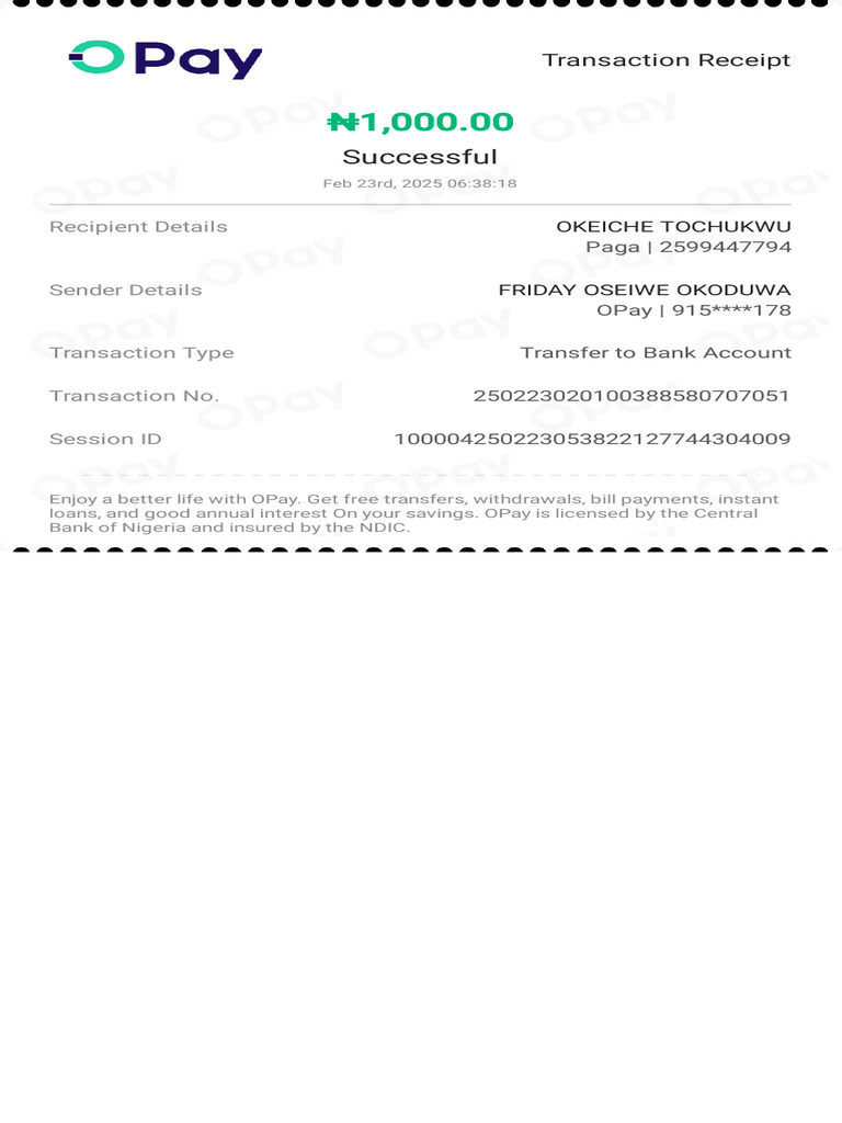 Successful OPay Transaction Receipt | PDF