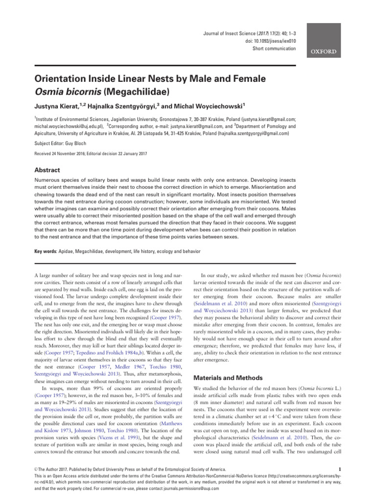 Orientation Inside Linear Nests by Male and Female | PDF | Bees | Nest
