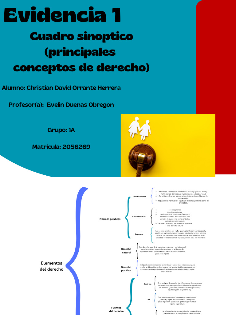 Evidencia 1 IFD | PDF