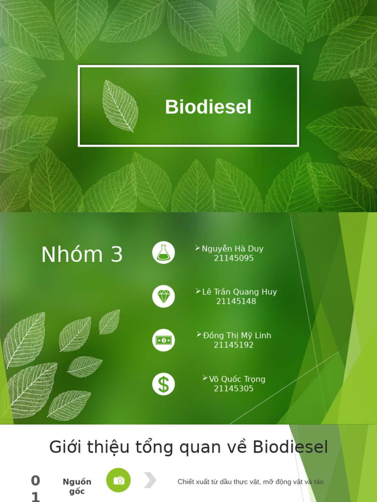 Báo Cáo Biodiesel | PDF
