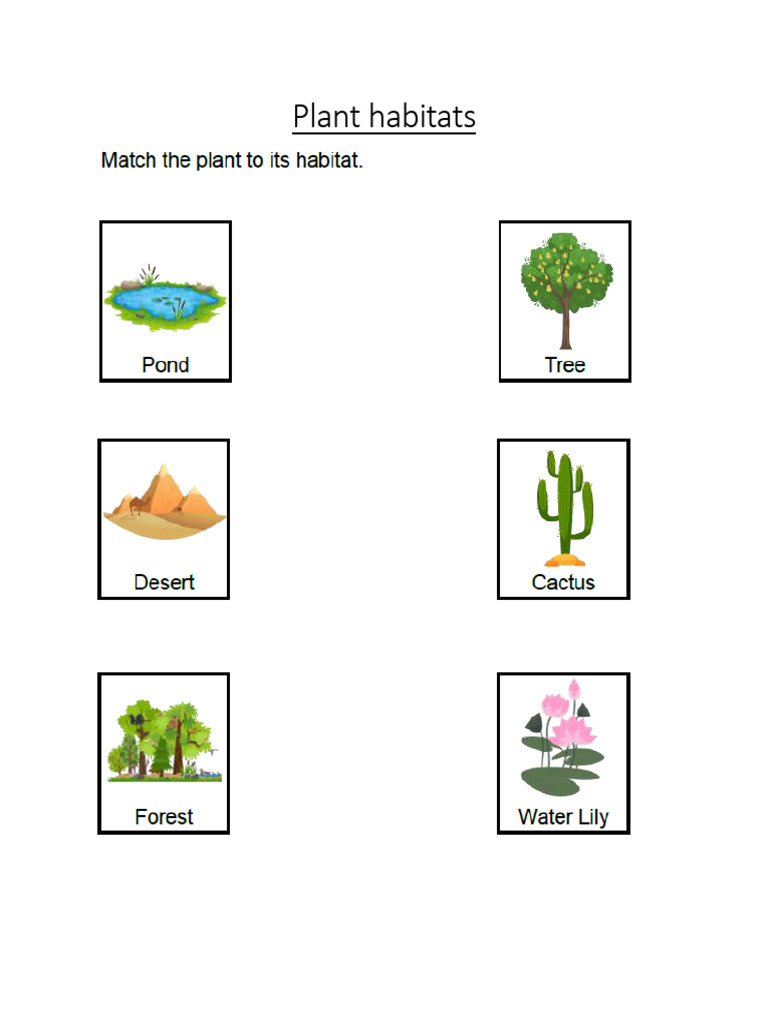 Animal & Plant Habitats | PDF