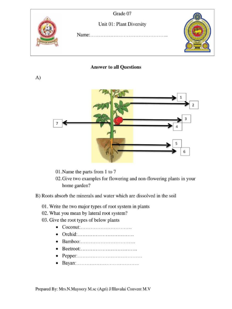Grade 7 UNIT 1 PAPER | PDF