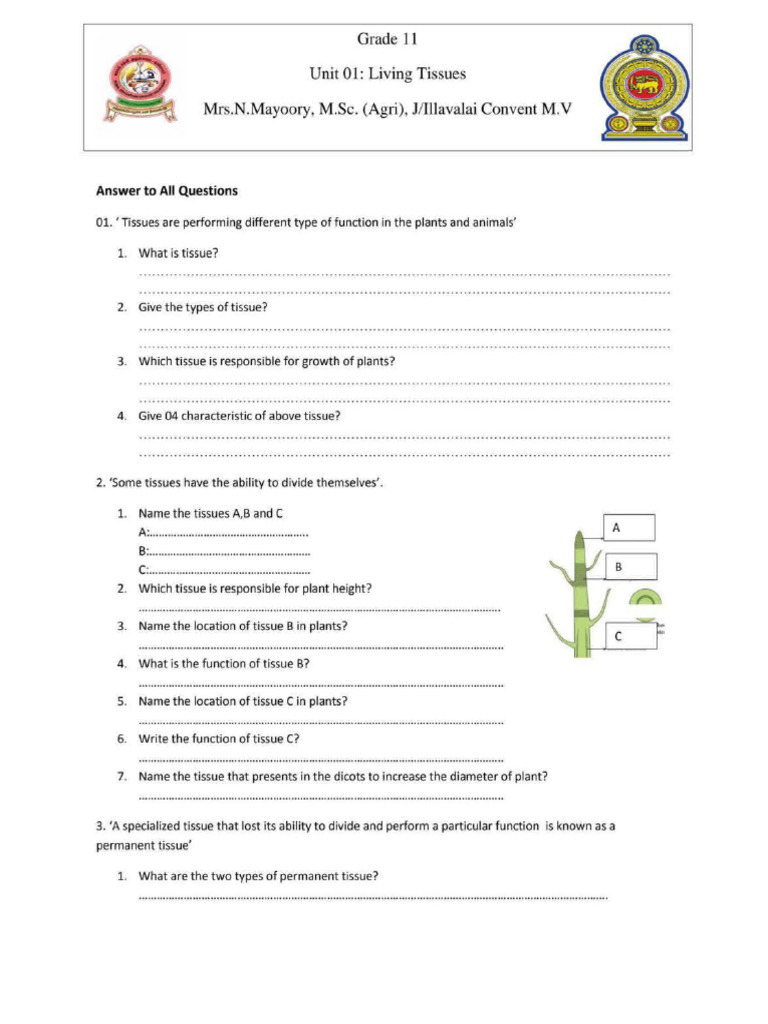 Grade 11 Unit 1 Paper | PDF