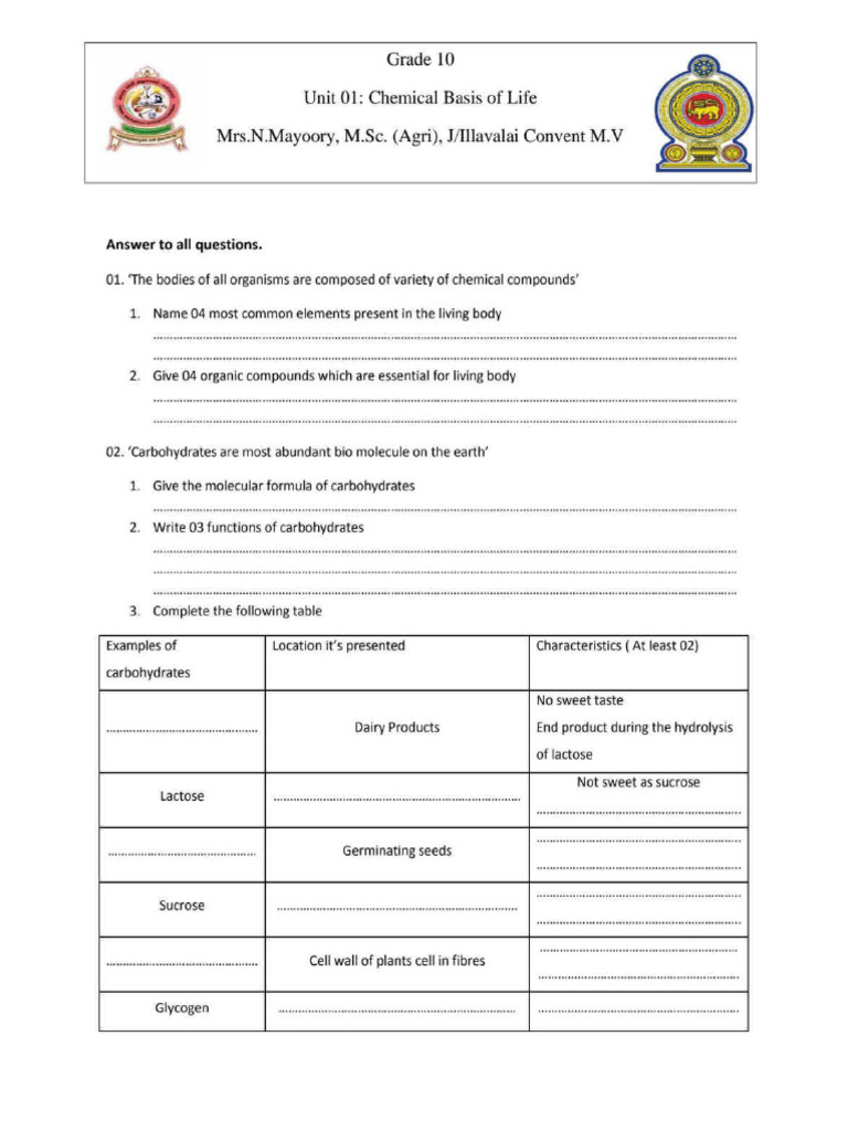 Grade 10 Unit 1 Paper | PDF