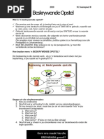 Verhalende Opstel | PDF